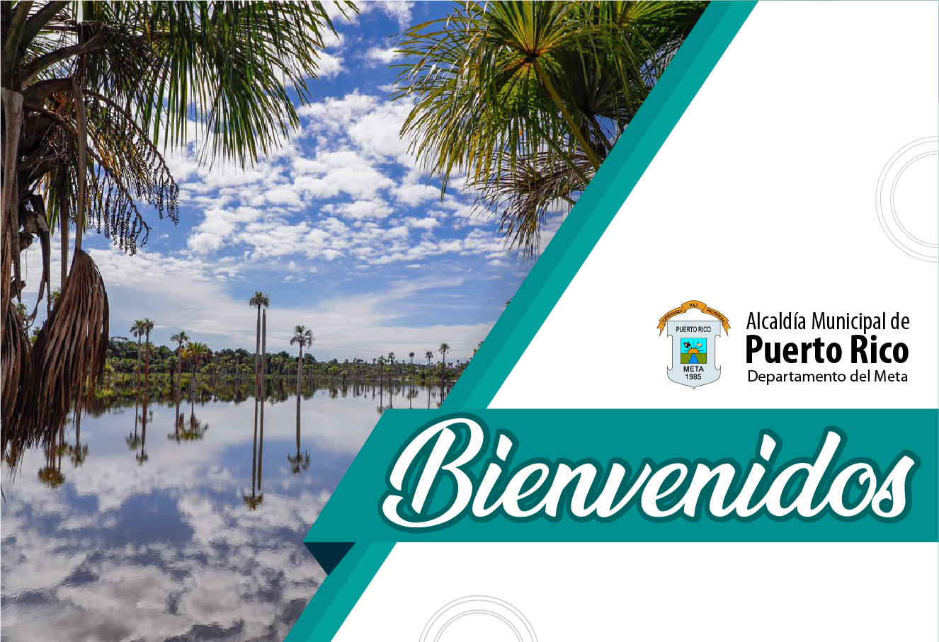 Validar Contribuyente